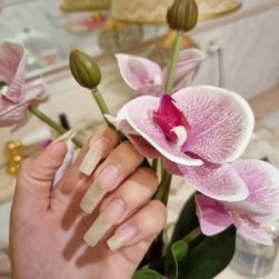 Long nails and hands care - Nailslong.com